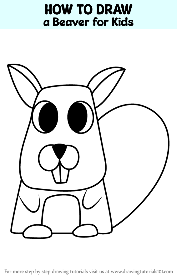 How to Draw a Beaver for Kids (Animals for Kids) Step by Step ...