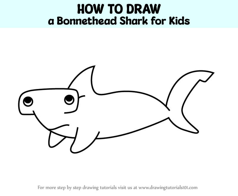 How To Draw A Shark Head Easy