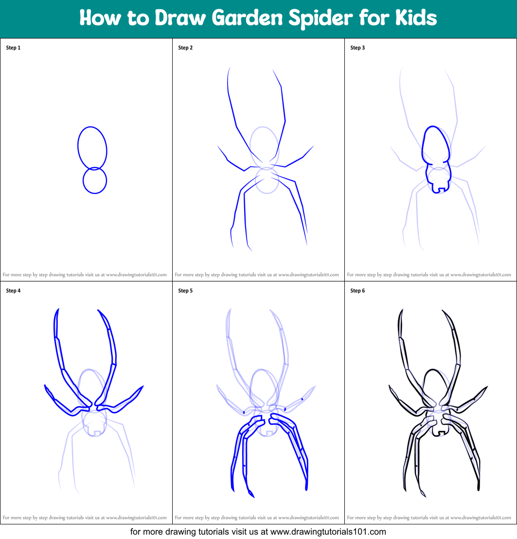 Easy How To Draw A Spider How To Draw A Spider Easy Step By Step