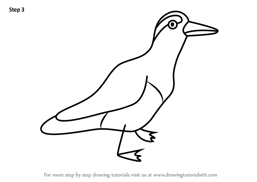 How to Draw a Garganey Bird for Kids (Animals for Kids) Step by Step ...