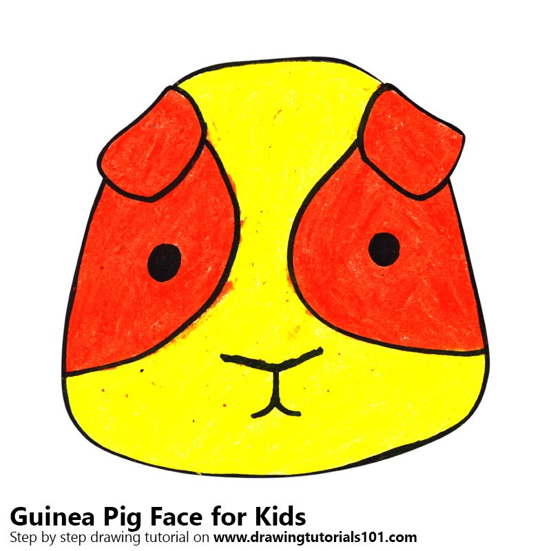 Learn How to Draw a Guinea Pig for Kids (Animals for Kids) Step by Step ...