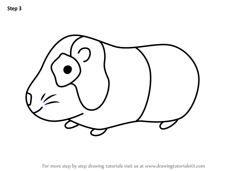 How To Draw A Guinea Pig For Kids Animals For Kids Step By Step How To Draw A Guinea Pig For Kids Animals For Kids Step By Step
