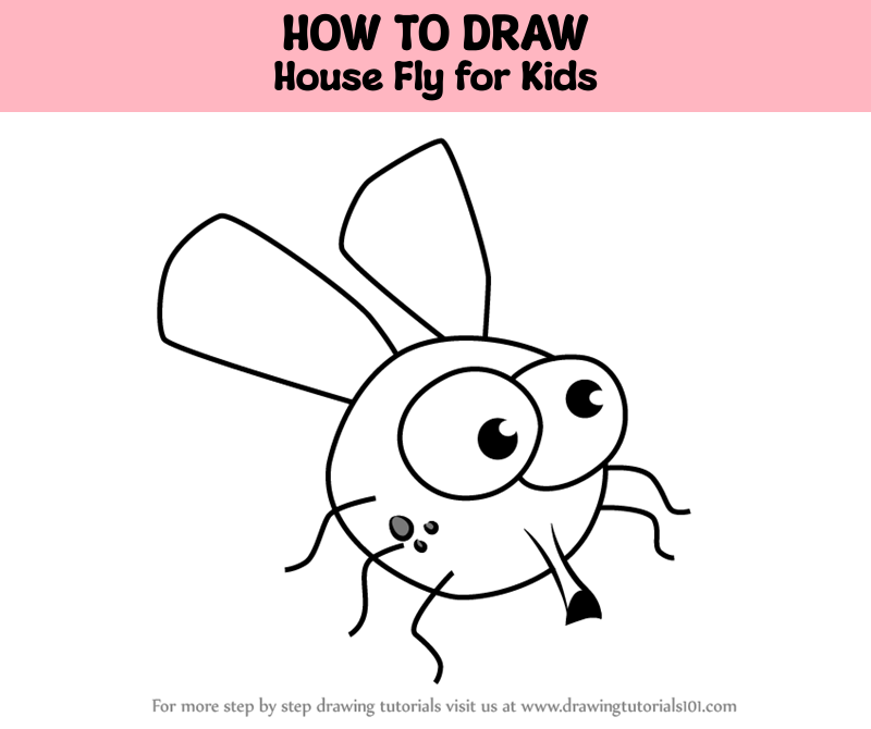How to Draw House Fly for Kids (Animals for Kids) Step by Step ...