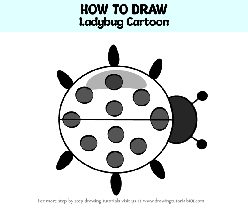 How to Draw Ladybug Cartoon (Animals for Kids) Step by Step ...