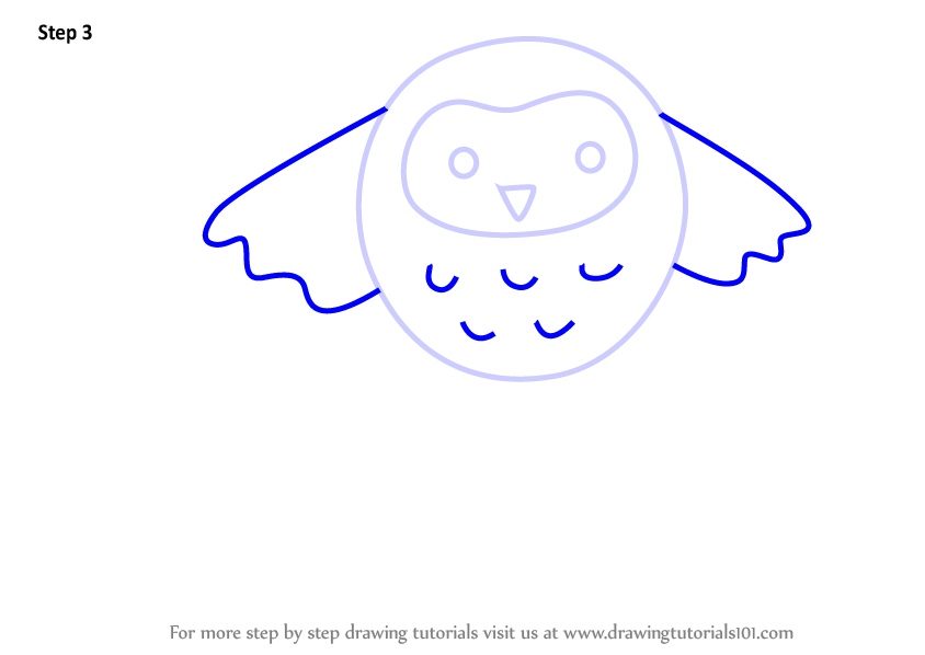 How to Draw an Owl for Kids (Animals for Kids) Step by Step ...