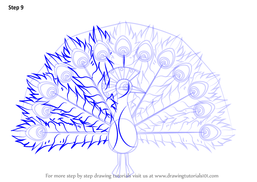 How to Draw Peacock for Kids (Animals for Kids) Step by Step ...