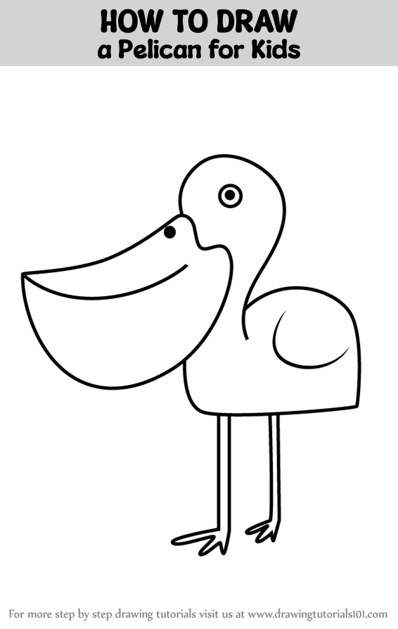 How To Draw A Pelican Step By Step Drawing Tutorials