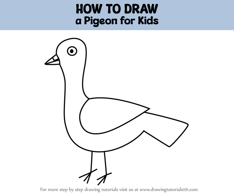 How to Draw a Pigeon for Kids (Animals for Kids) Step by Step ...