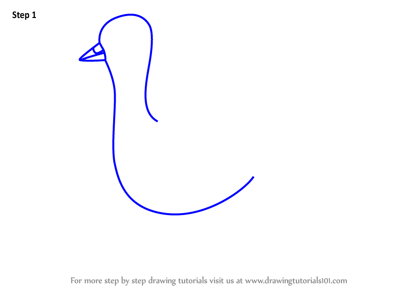 How to Draw a Pigeon for Kids (Animals for Kids) Step by Step ...