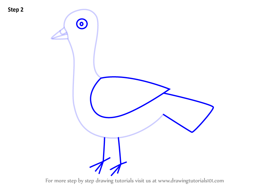 How to Draw a Pigeon for Kids (Animals for Kids) Step by Step ...