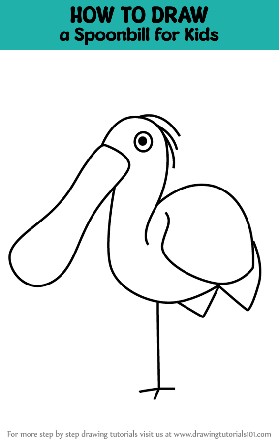 How to Draw a Spoonbill for Kids (Animals for Kids) Step by Step ...