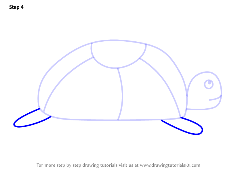 How to Draw a Turtle for Kids (Animals for Kids) Step by Step ...