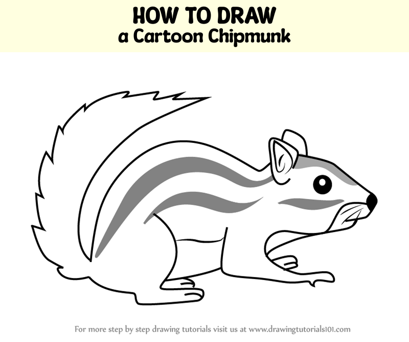 How to Draw a Cartoon Chipmunk (Cartoon Animals) Step by Step ...