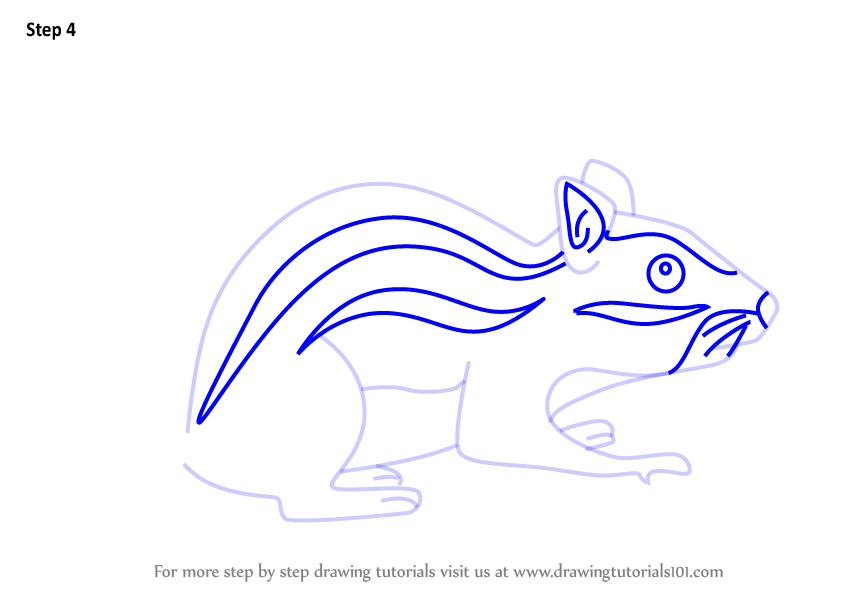 How To Draw A Cartoon Chipmunk Step By Step