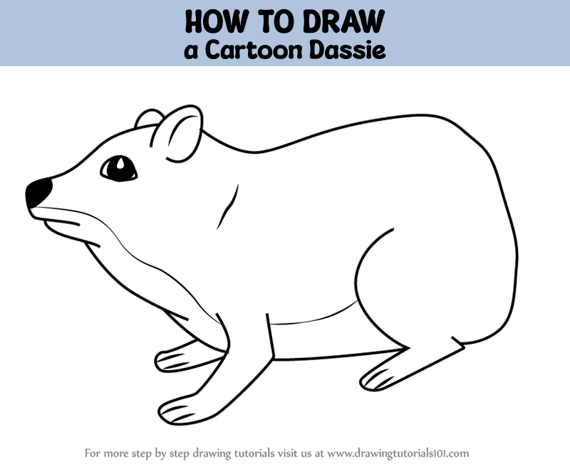How to Draw a Cartoon Dassie (Cartoon Animals) Step by Step ...
