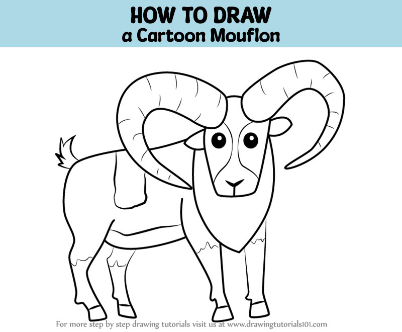 How to Draw a Cartoon Mouflon (Cartoon Animals) Step by Step ...