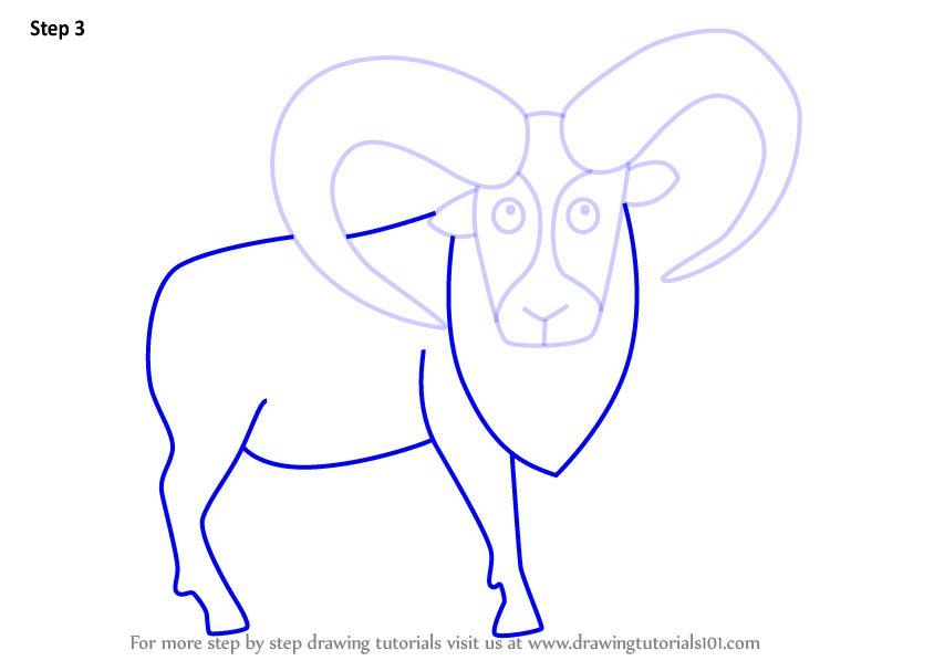 How to Draw a Cartoon Mouflon (Cartoon Animals) Step by Step ...