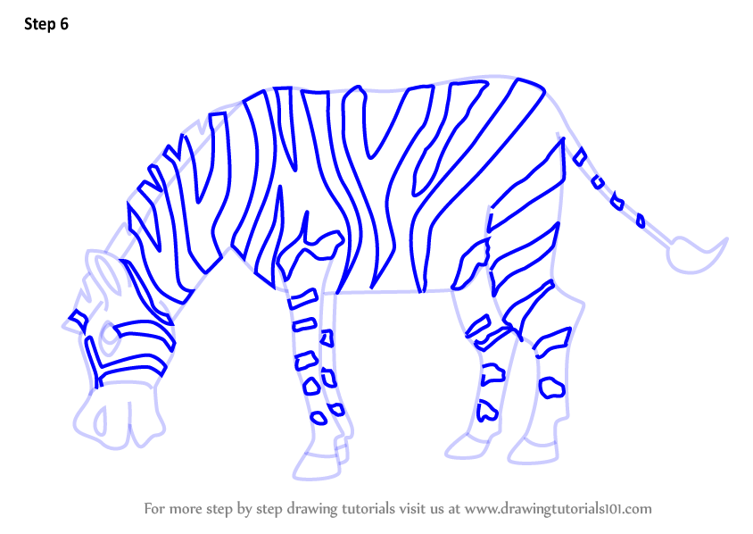 How To Draw A Zebra Drawing Step By Step Easy Drawings How To Draw A