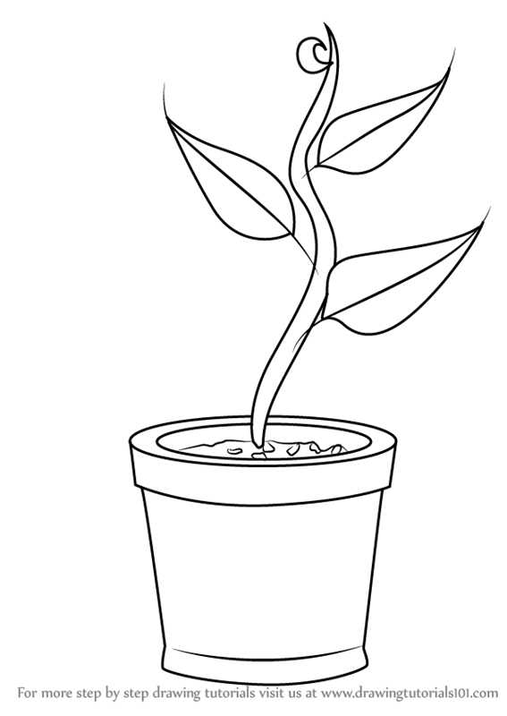 How To Draw Plant In Pot Plants For Kids Step By Step