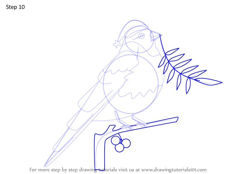 How to Draw Christmas Bird (Christmas) Step by Step ...