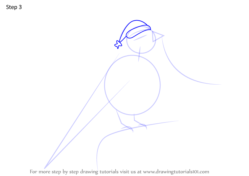 How to Draw Christmas Bird (Christmas) Step by Step ...
