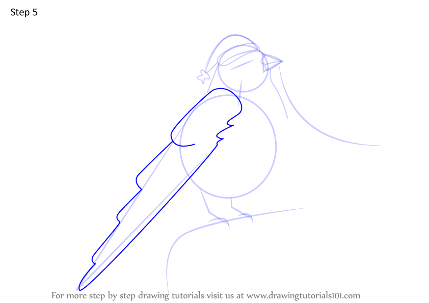 How to Draw Christmas Bird (Christmas) Step by Step ...