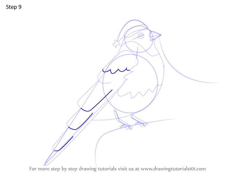 How to Draw Christmas Bird (Christmas) Step by Step ...