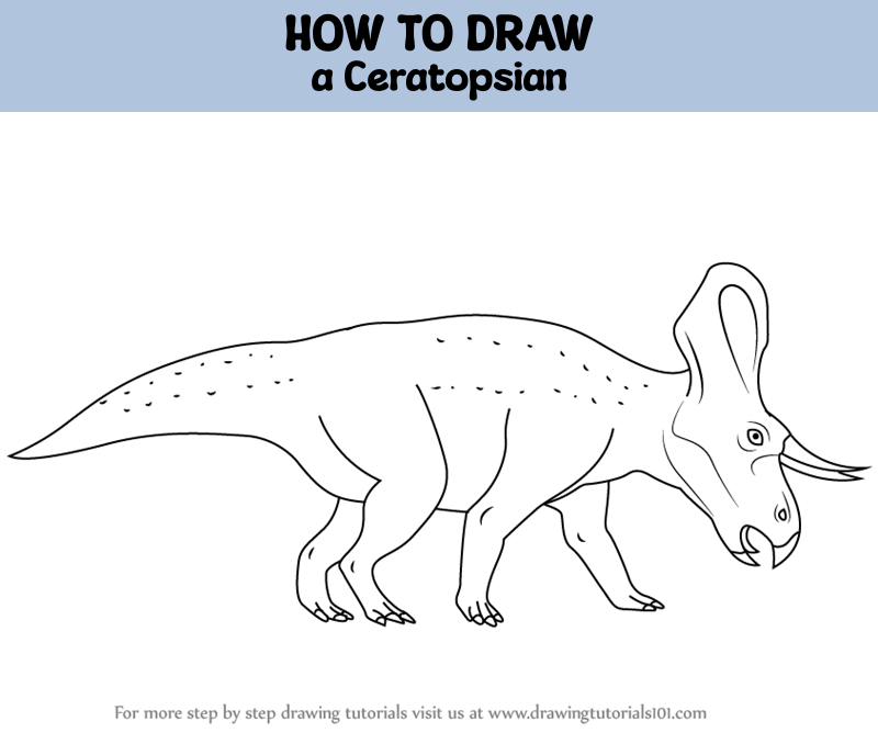 How to Draw a Ceratopsian (Dinosaurs) Step by Step ...