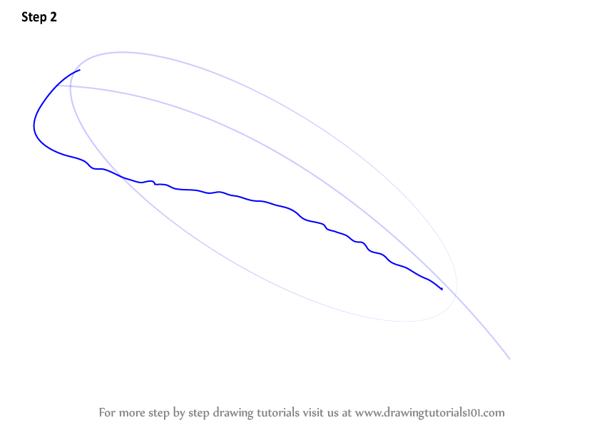 How to Draw a Feather (Everyday Objects) Step by Step | DrawingTutorials101.com