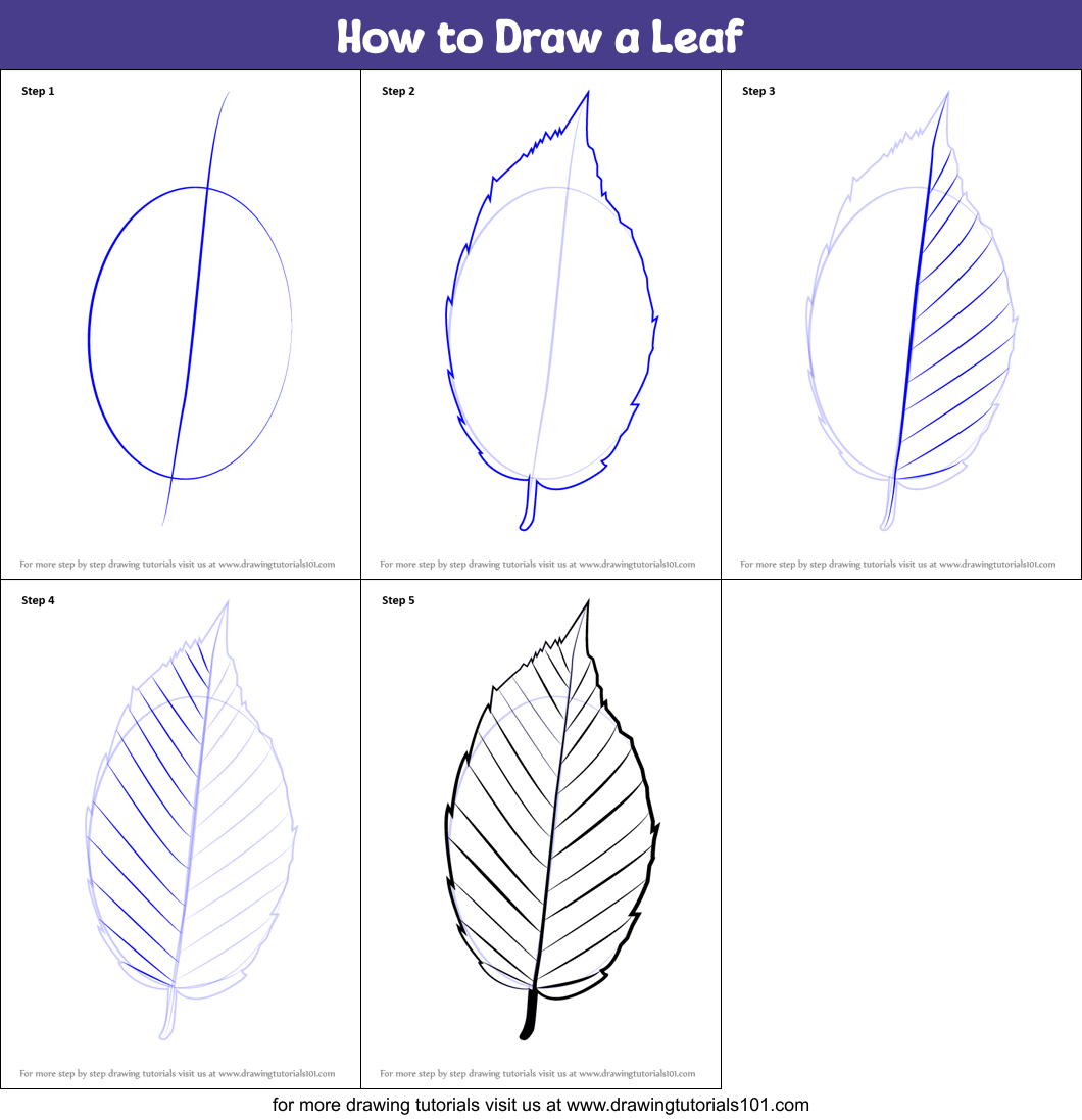 How To Draw A Leaf Printable Step By Step Drawing Sheet 