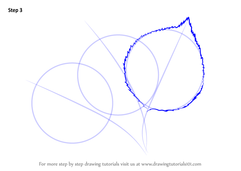 How to Draw Leafs (Plants) Step by Step | DrawingTutorials101.com