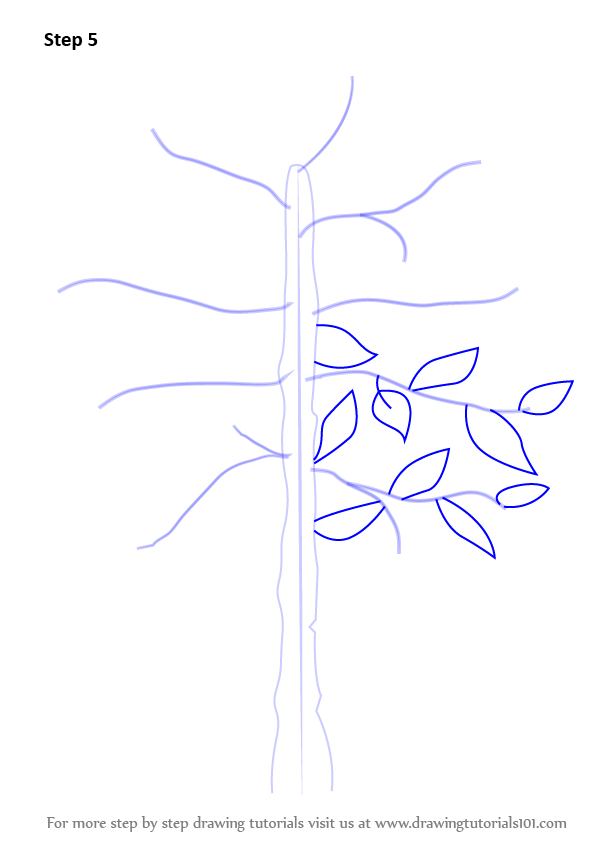 How to Draw an Apple Tree (Trees) Step by Step | DrawingTutorials101.com