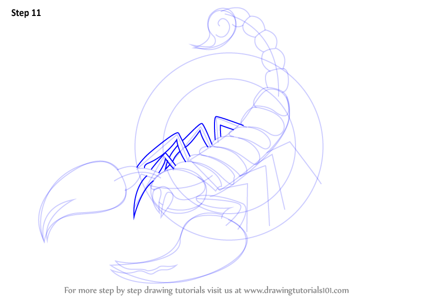 How to Draw Scorpio Zodiac Sign (Zodiac Signs) Step by Step | DrawingTutorials101.com