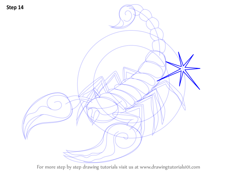 How to Draw Scorpio Zodiac Sign (Zodiac Signs) Step by Step | DrawingTutorials101.com