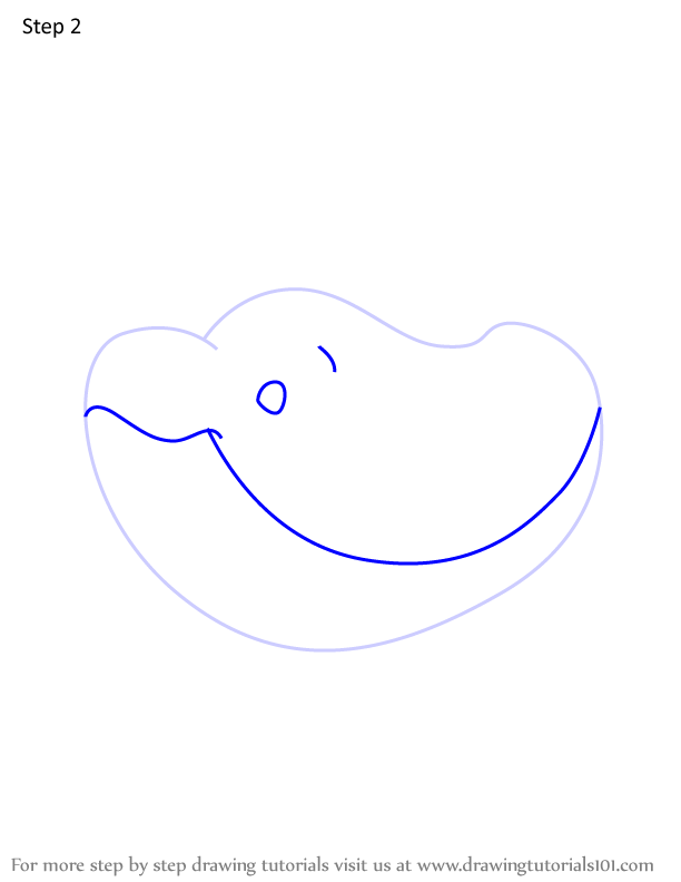 How To Draw Dolphin Face