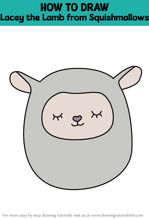 How to Draw Lacey the Lamb from Squishmallows (Squishmallows) Step by ...
