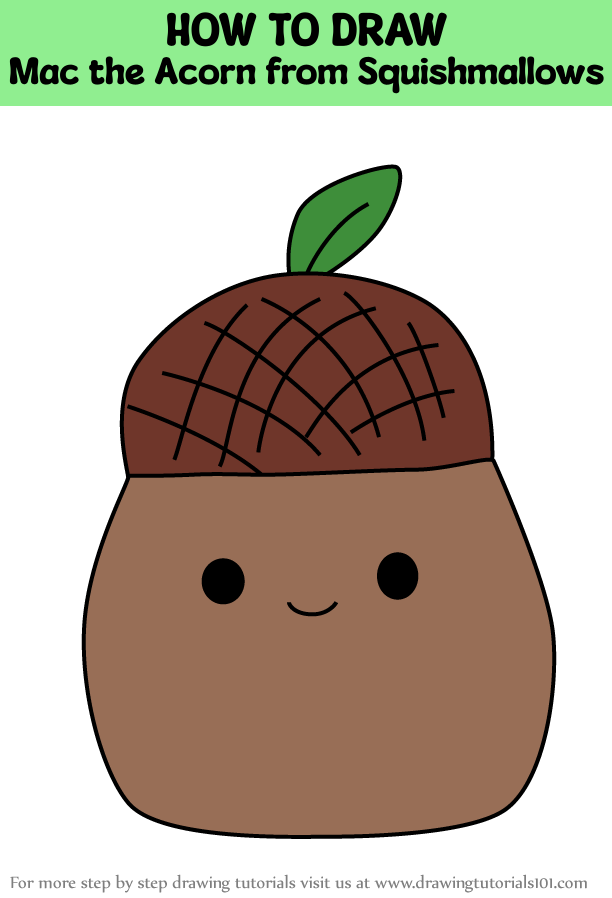 How to Draw Mac the Acorn from Squishmallows (Squishmallows) Step by ...