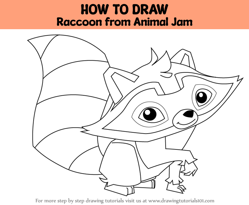How to Draw Raccoon from Animal Jam (Animal Jam) Step by Step ...
