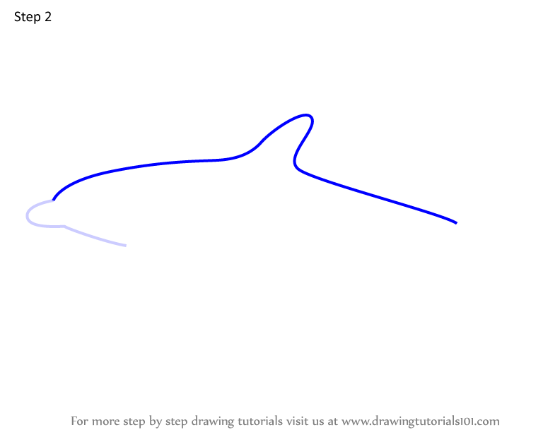 How to Draw Dolphin from Dumb Ways To Die (Dumb Ways To Die) Step by ...