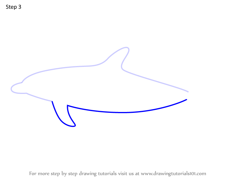 How to Draw Dolphin from Dumb Ways To Die (Dumb Ways To Die) Step by ...