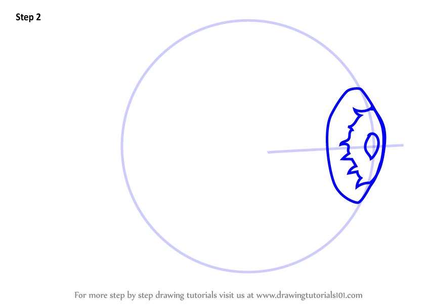 How to Draw Eye of Cthulhu from Terraria (Terraria) Step by Step ...